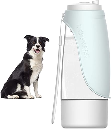 Welche Babyglaschen Fur Hunde